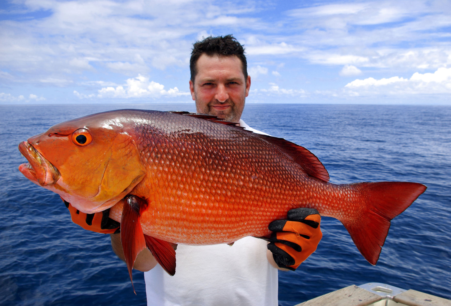 Gulf red snapper season opens today!