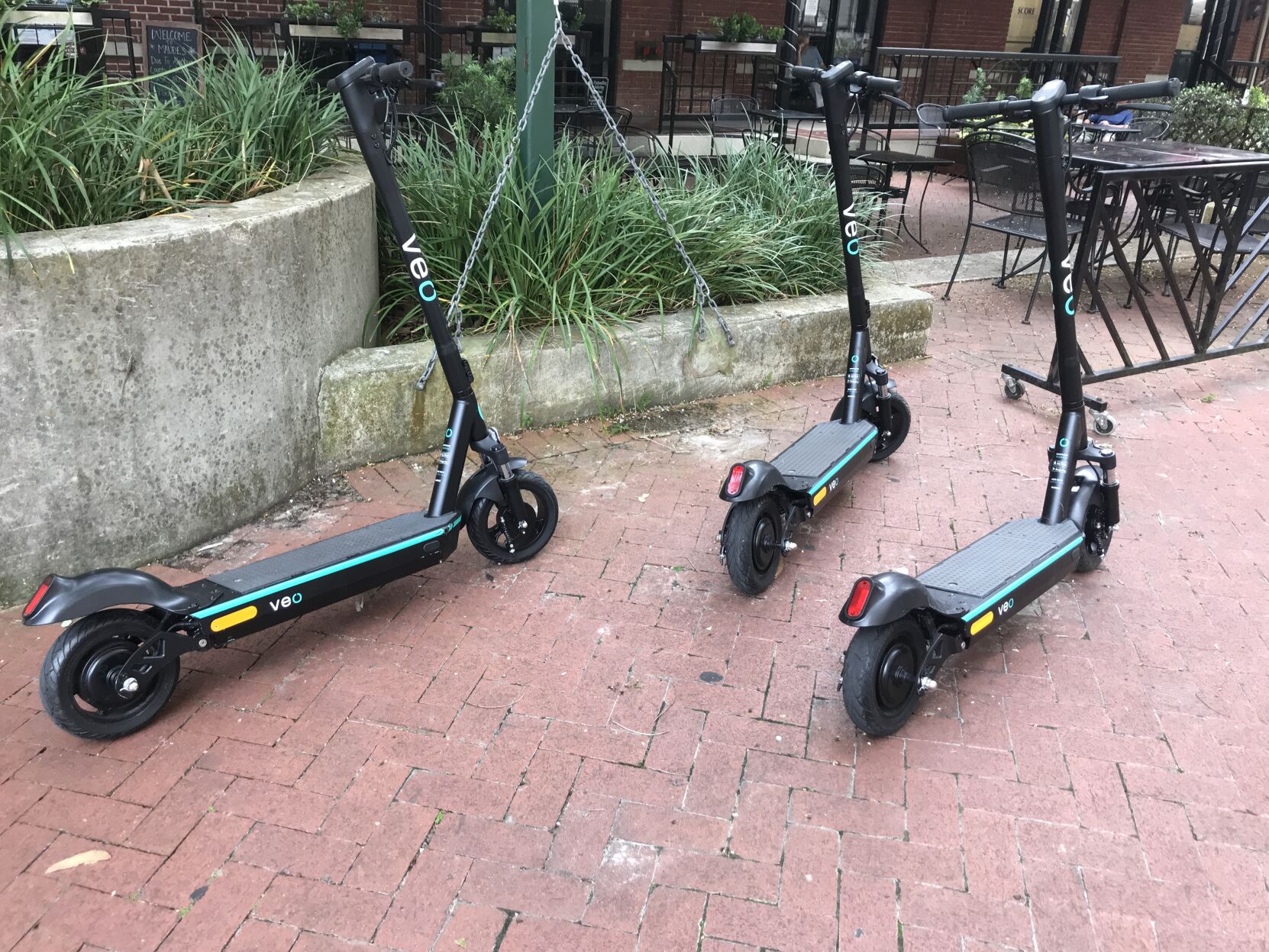Here's what you need to know about those new scooters