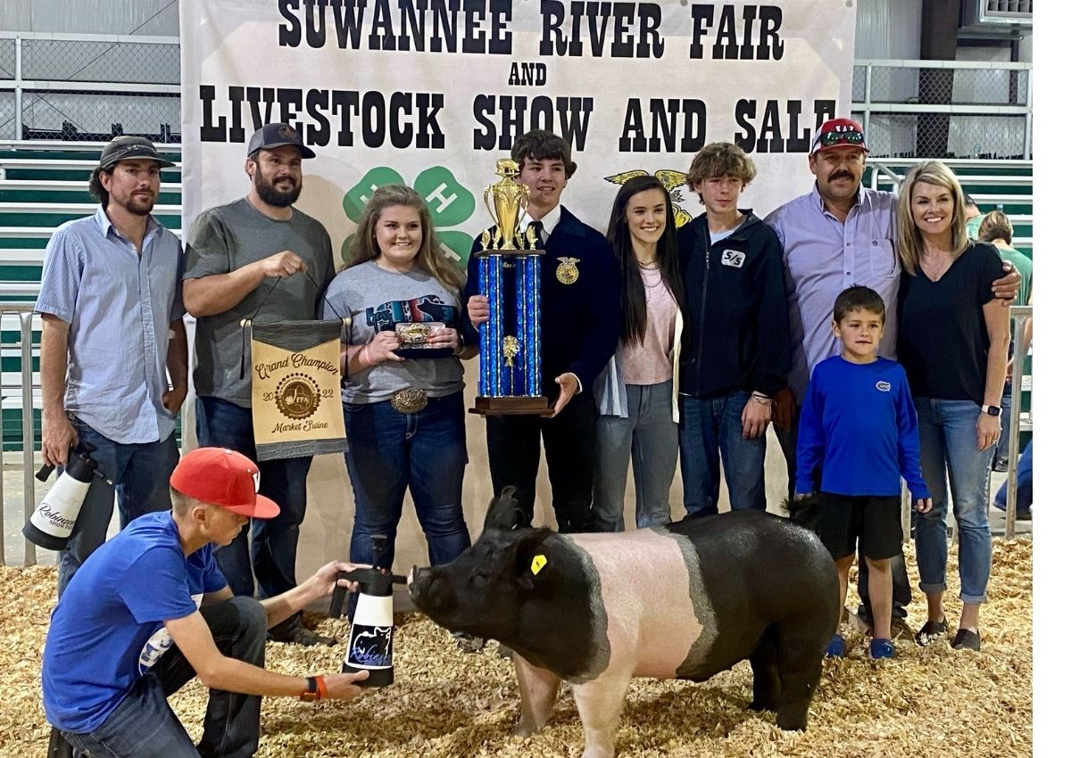 Champion Show Pig