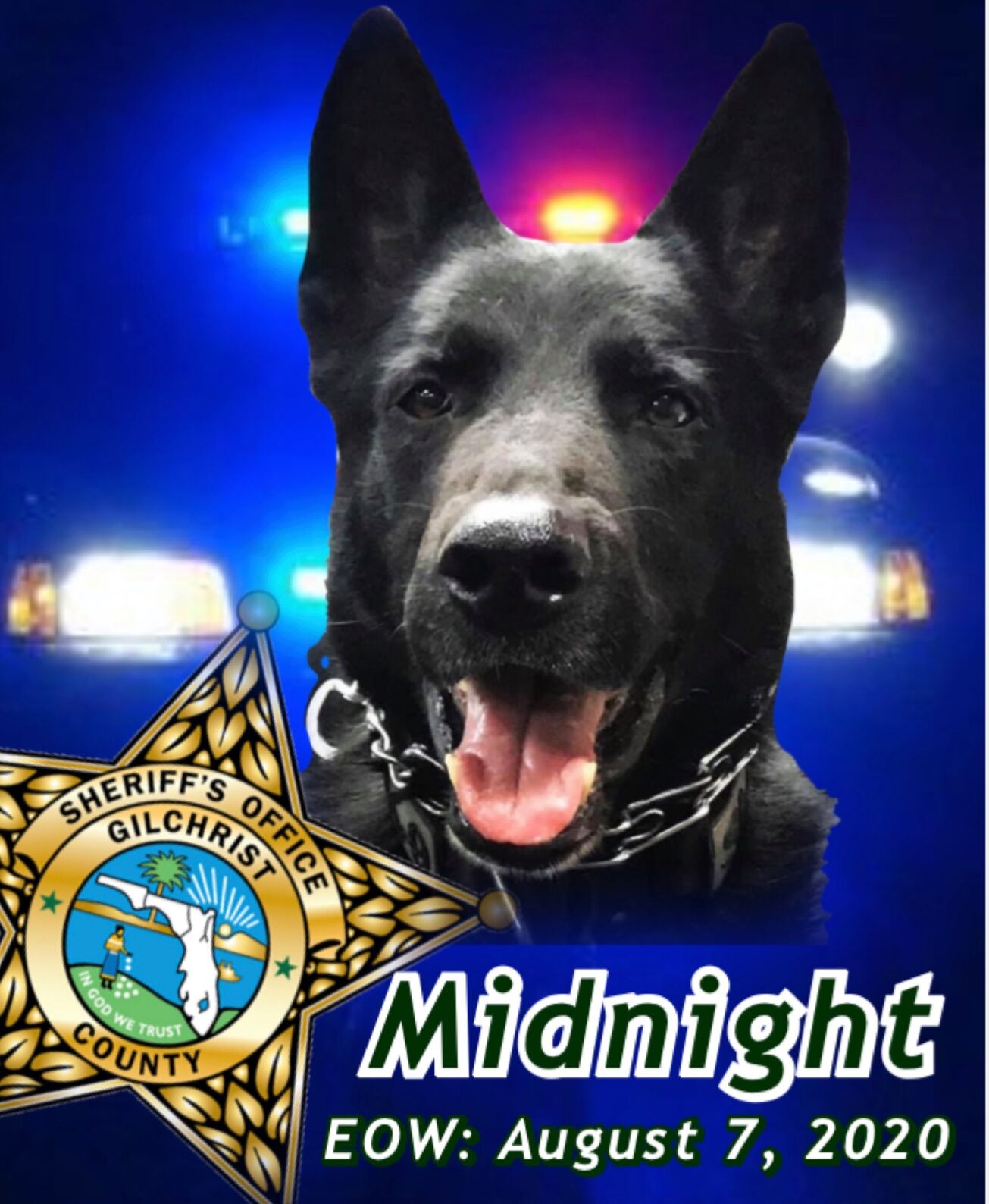 Legendary GCSO K-9 Midnight dies at 14
