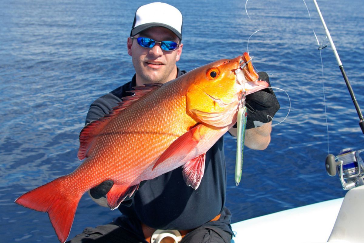 Fishing report: Big Bend—where the action is