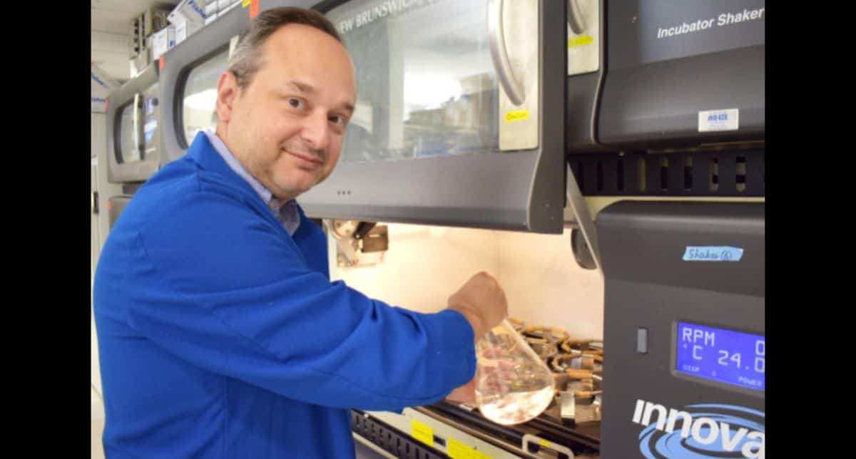 UF scientist takes aim at tuberculosis