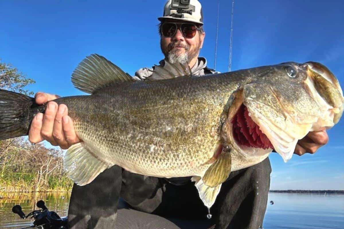 Fishing report: Weedy menace approaching