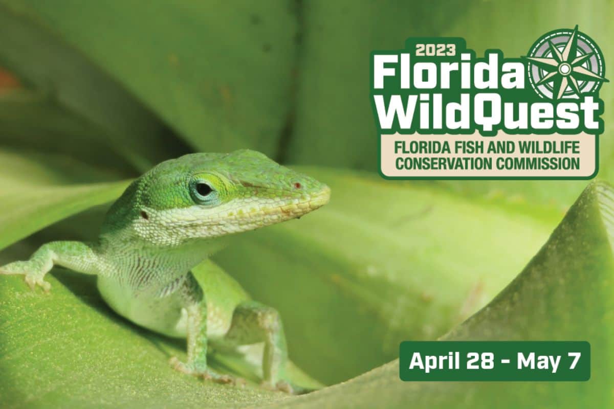 FWC to hold WildQuest scavenger hunt