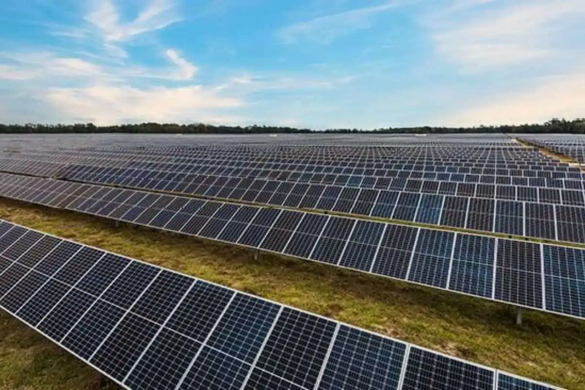 Duke Energy powers up two new solar farms
