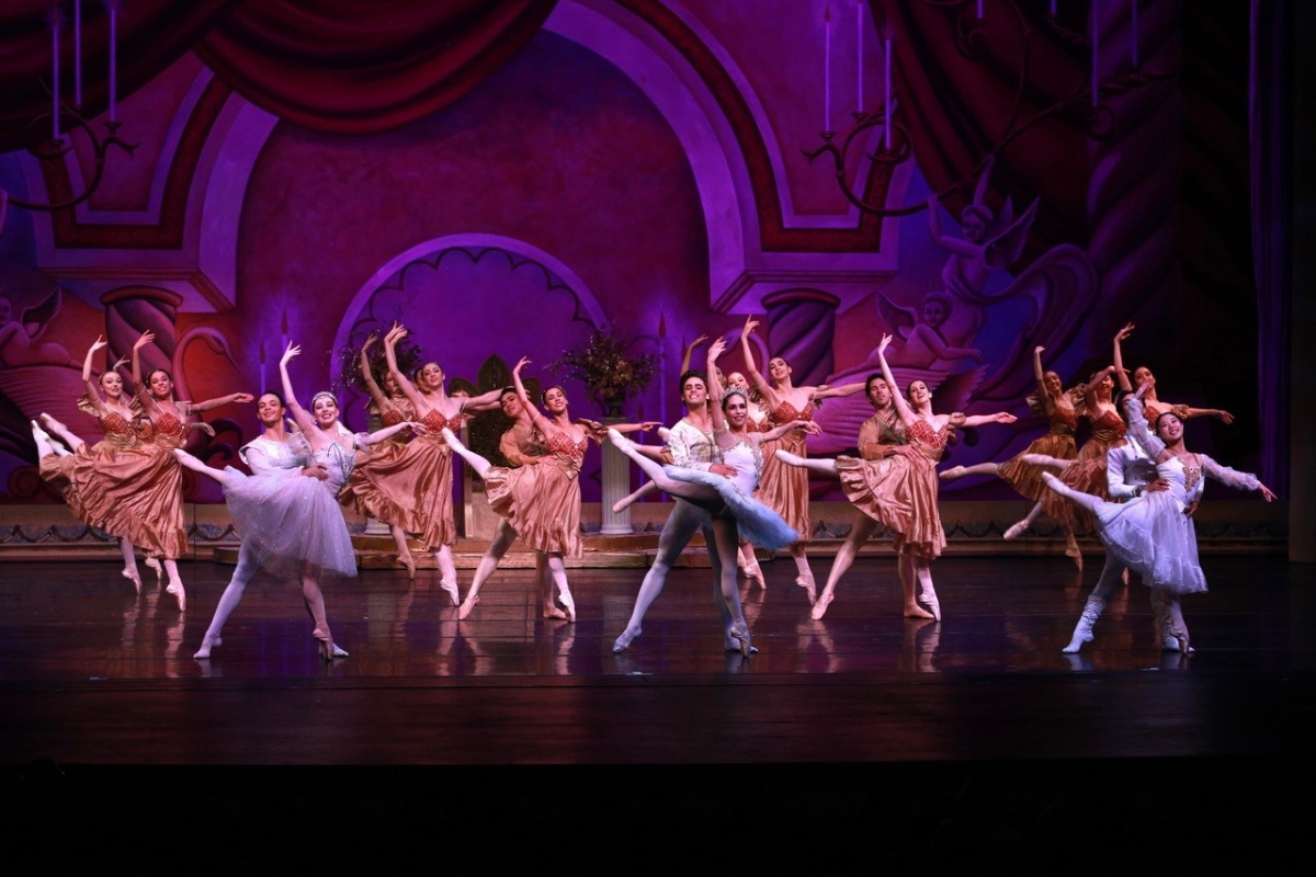 Dance Alive National Ballet plans new arts center