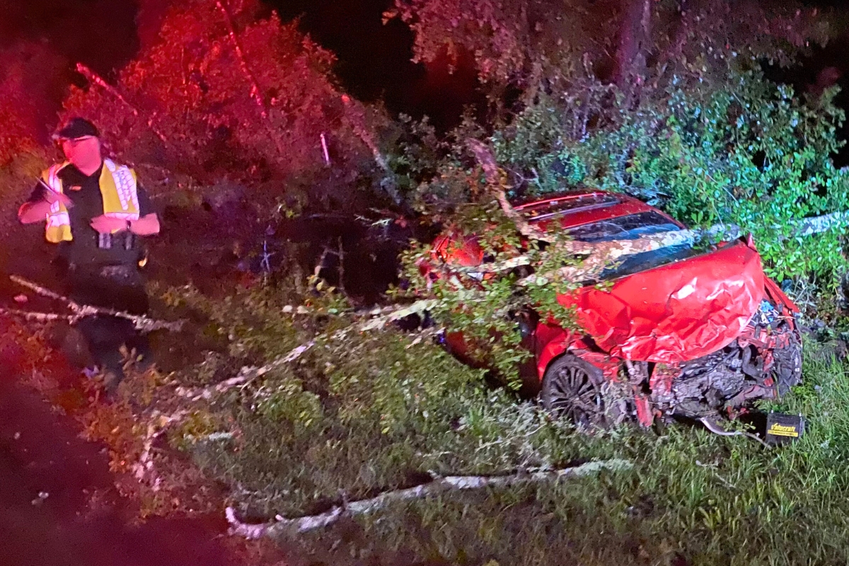 Car hits tree, injures two