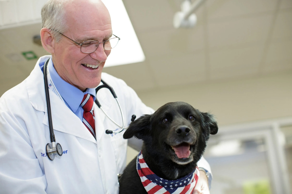 UF veterinary oncology program receives gift