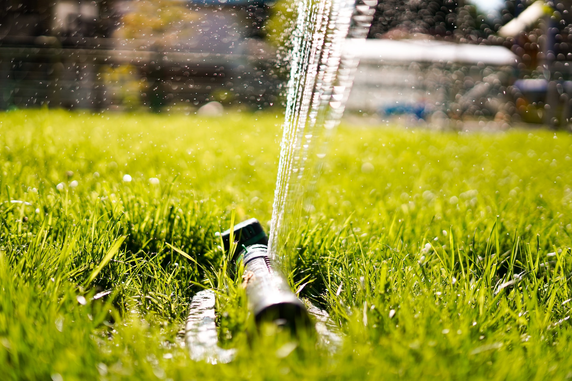 UF study prompts reducing outdoor water usage