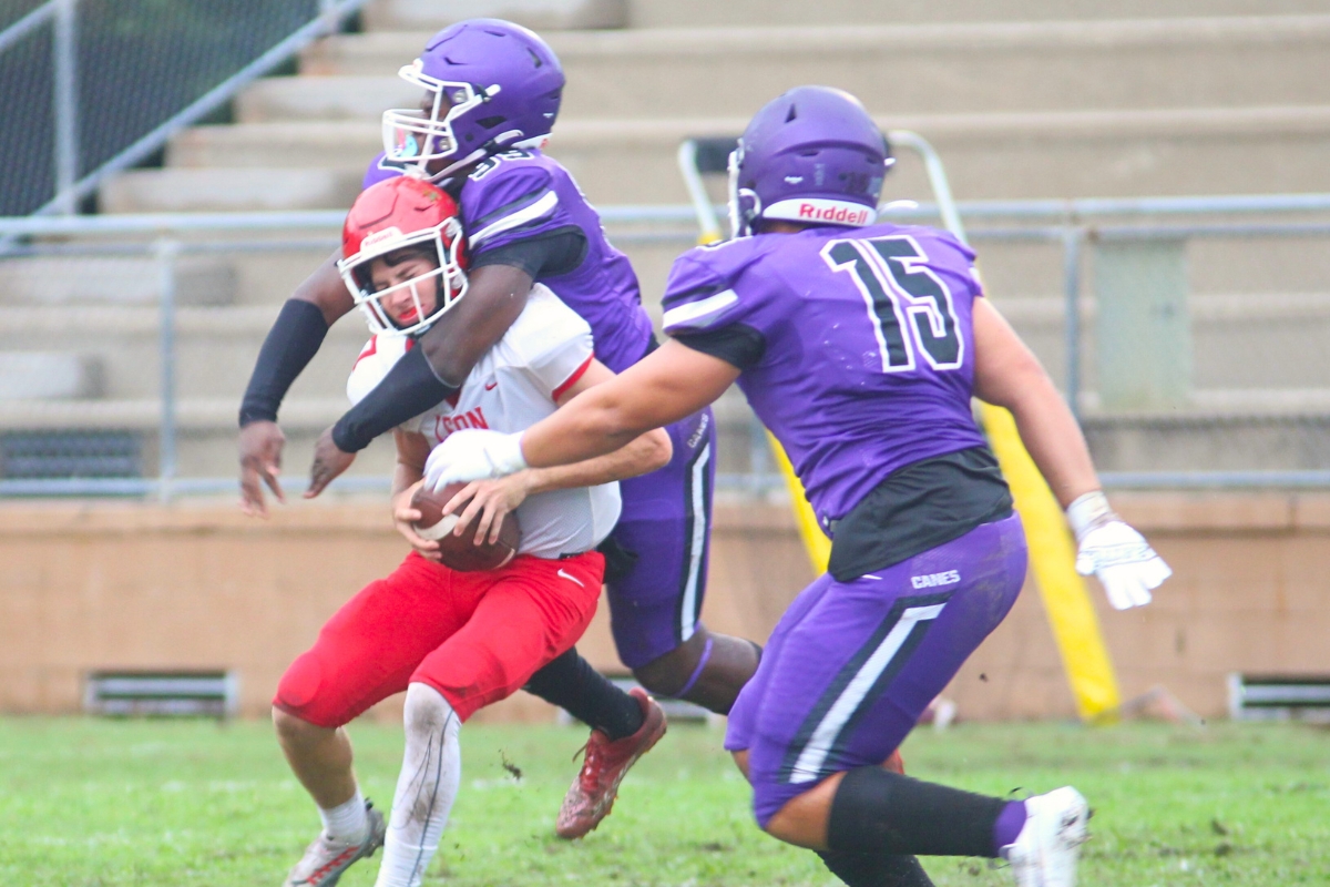 Ridaught: Still searching for the one