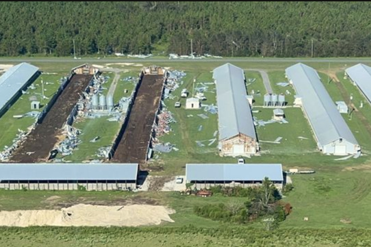 Farmers Recover Center to open in Suwannee County