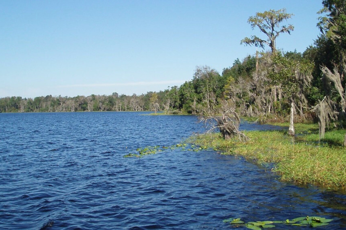 Alachua County Forever purchases 289 acres along Lake Alto