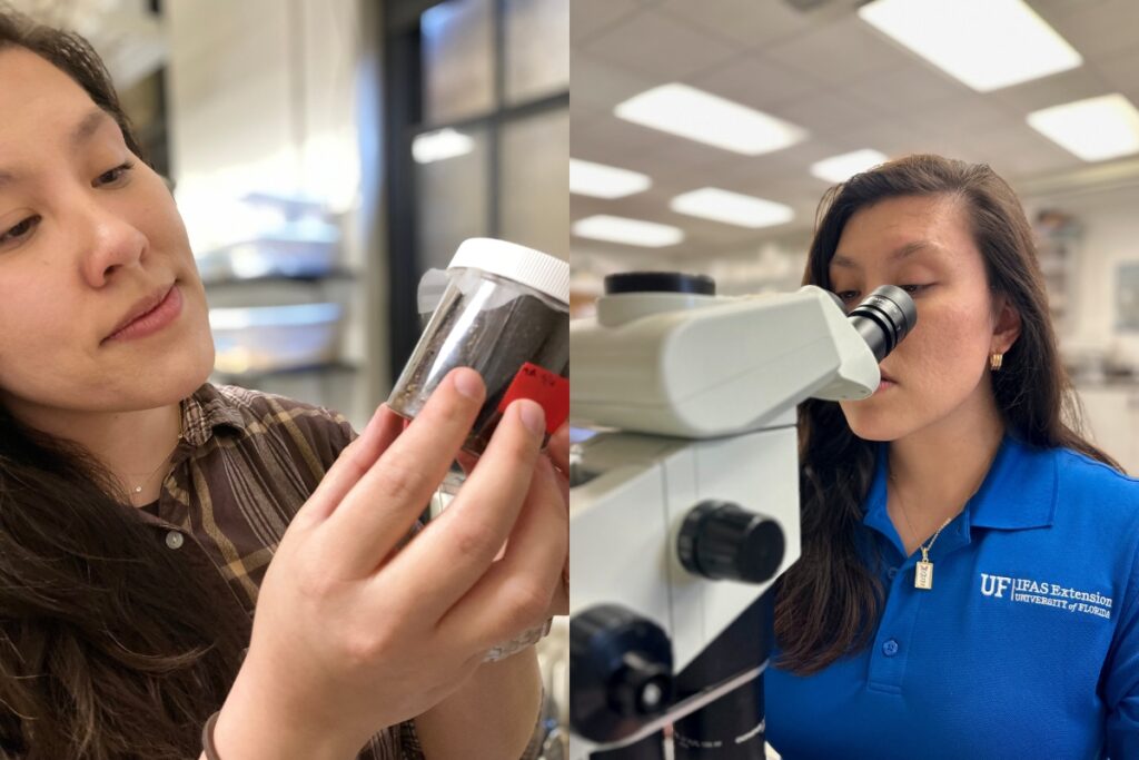 UF/IFAS: Tips to deal with unwanted pests during storms