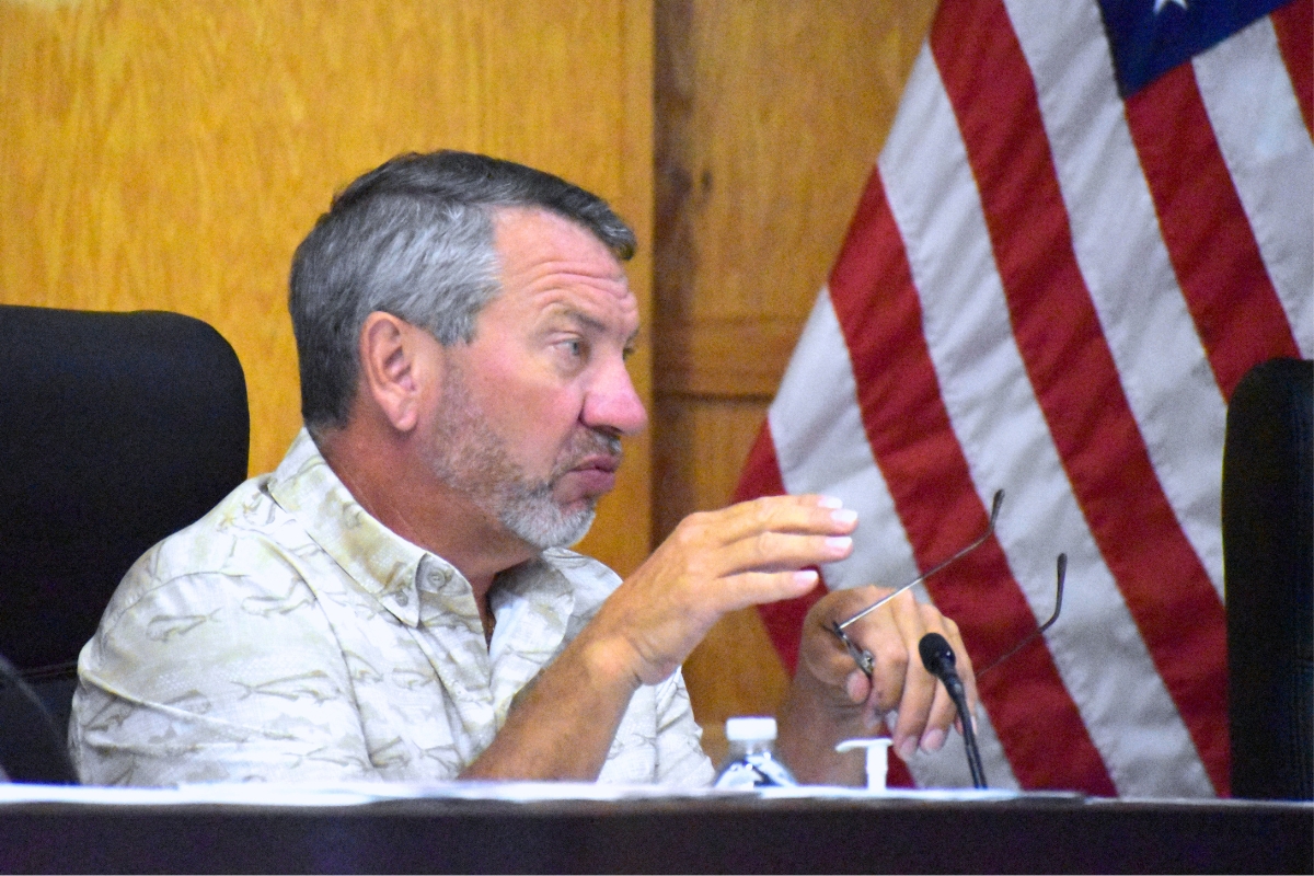 Newberry commission approves 2 CDDs