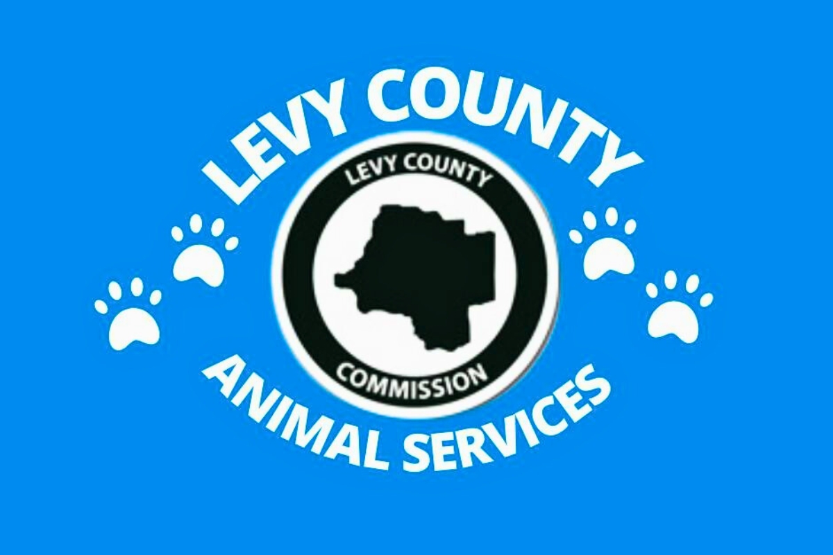Levy County shelter to close, needs dogs adopted