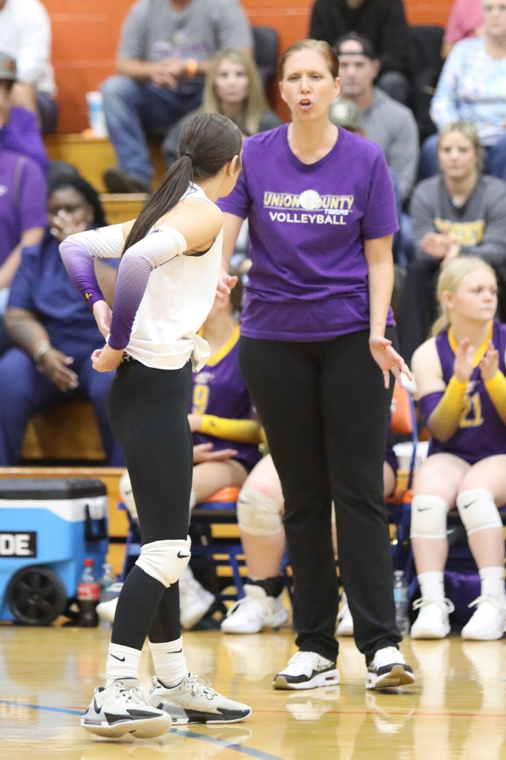 Sikes, Carter-Mitchell named All Area coaches of the year