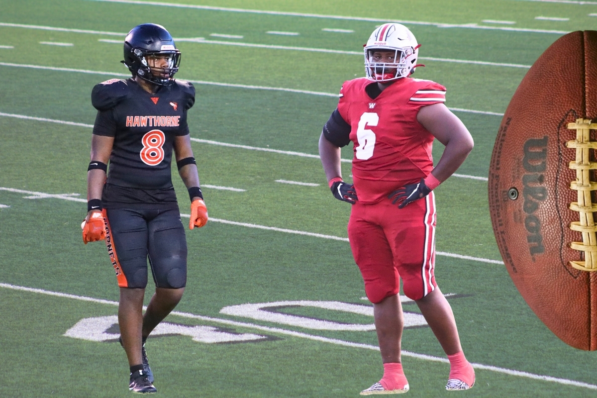 Hawthorne, Chiefland top All Area small school defensive squad