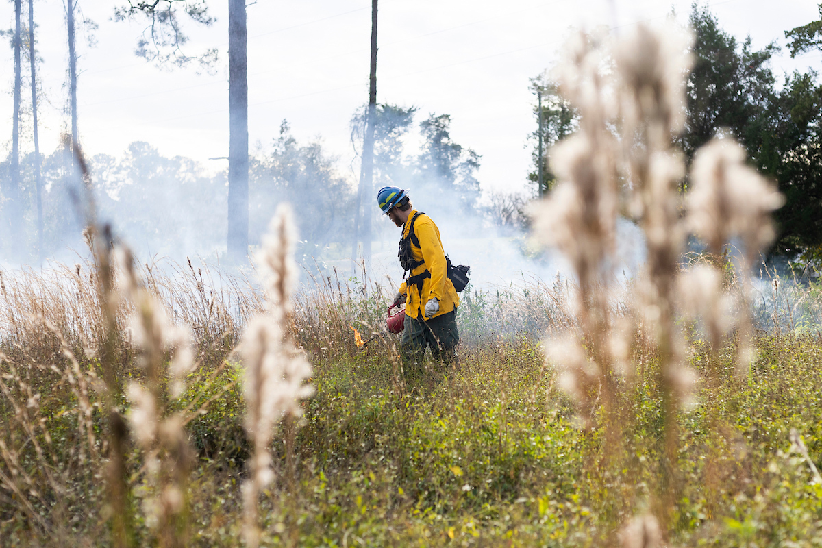 UF/IFAS shares prescribed fire resources promoting wildfire prevention