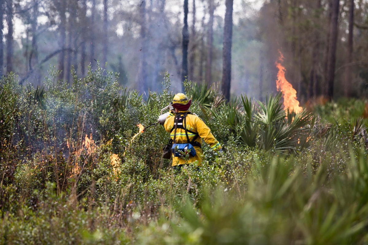 Local forestry, fire personnel prepare for wildfire season