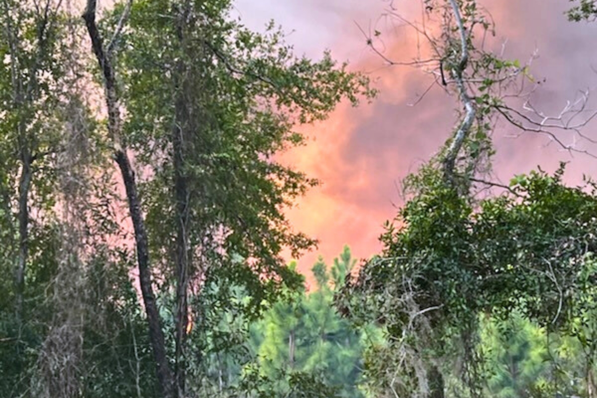 Multiple crews contain 250-acre Melrose brush fire