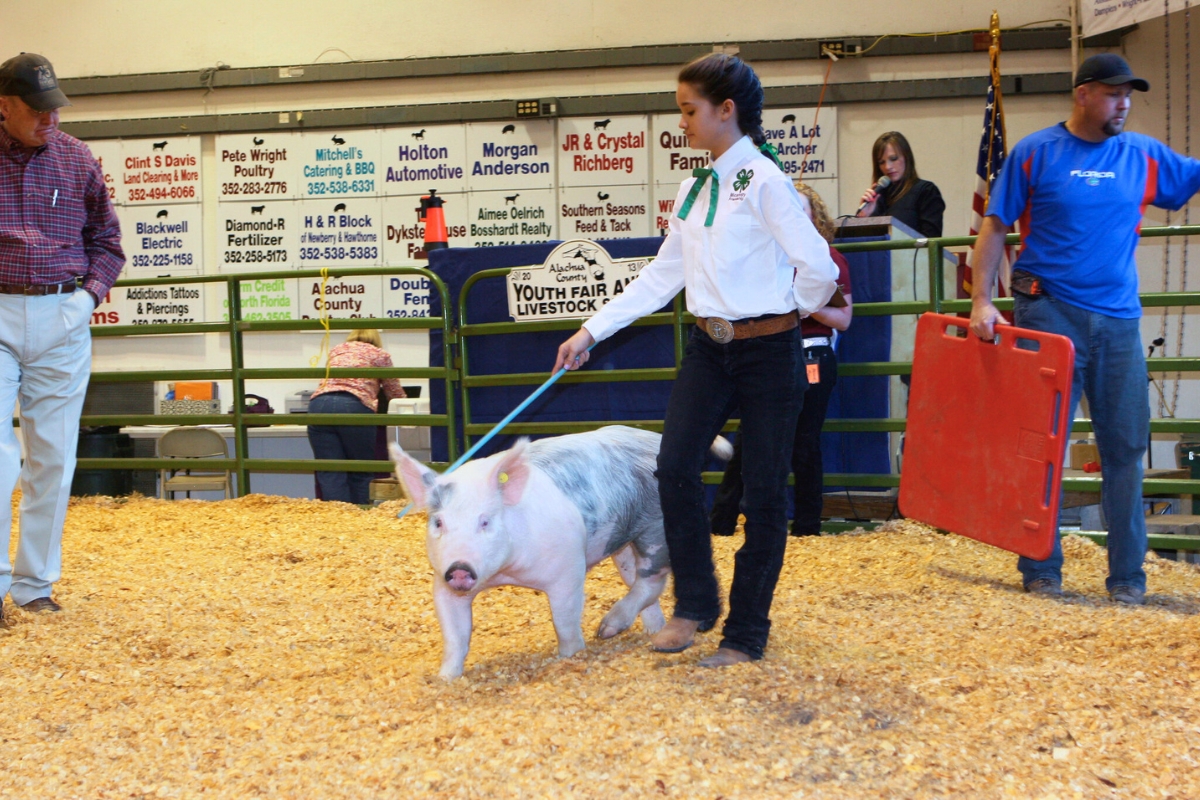 Alachua County Youth Fair & Livestock Show to start on Feb. 27