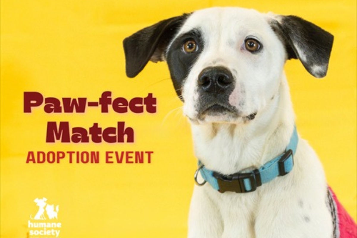 Paw-fect Match Adoption Event scheduled for Saturday