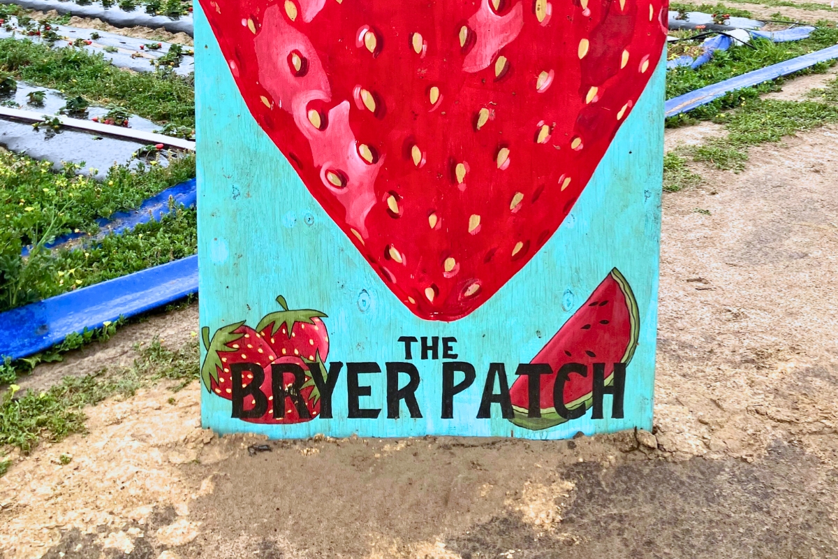 8 local u-pick farms to patronize