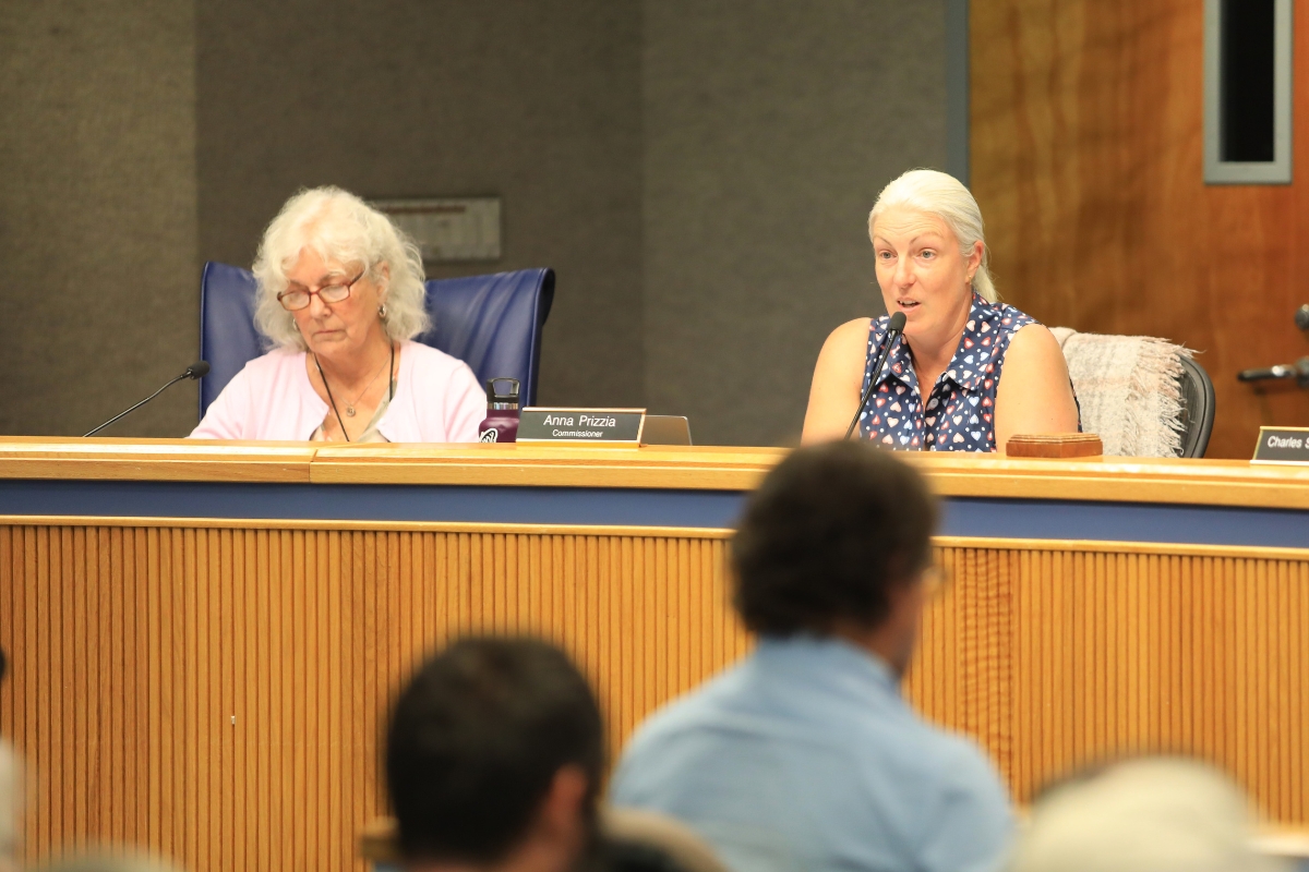 Alachua County remains in holding pattern on animal services, eastside ...