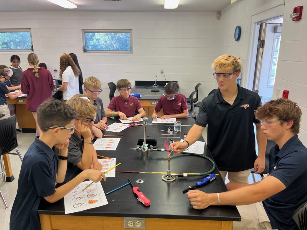 6 Oak Hall students earn honors in UF chemistry contest