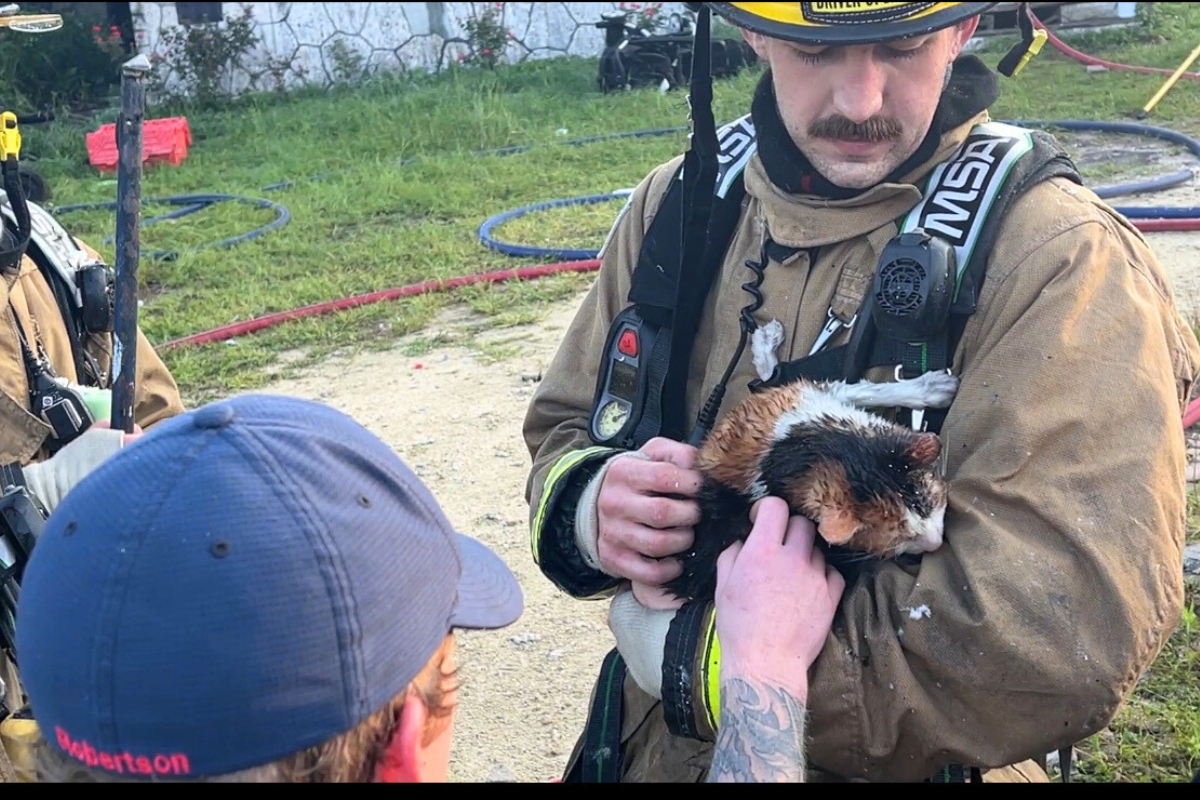 Firefighters battle High Springs blaze, save cat