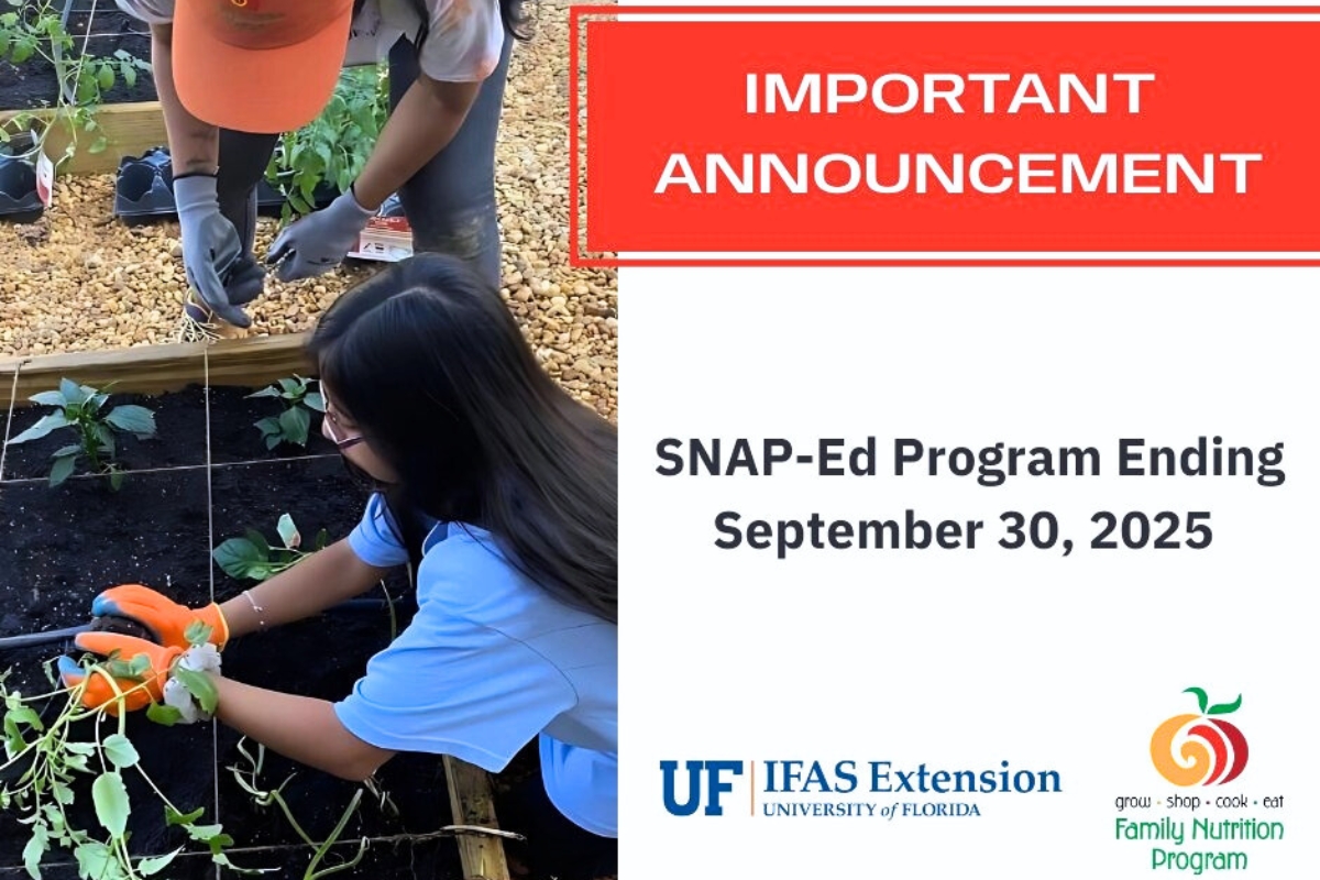 UF/IFAS Family Nutrition Program ‘sunsetting’ after nearly 30 years