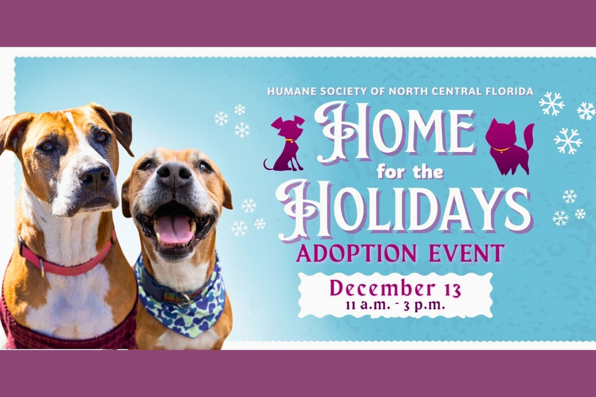 ‘Home for the Holidays’ adoption event on tap Saturday