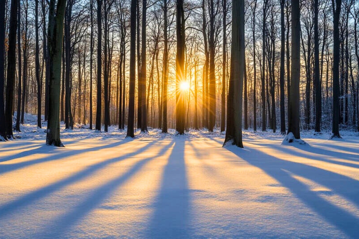 Sunday Assembly Gainesville to host winter solstice potluck