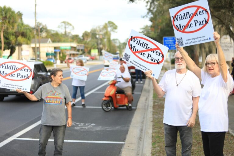 Melrose readies for WildFlowers festival permit vote