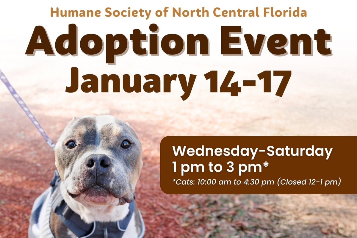 Humane Society kicks off 2026 with ‘New Year, New Best Friend’ adoption ...