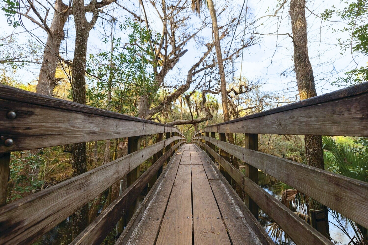 UF study shows spending time in tree-filled spaces helps calm mind