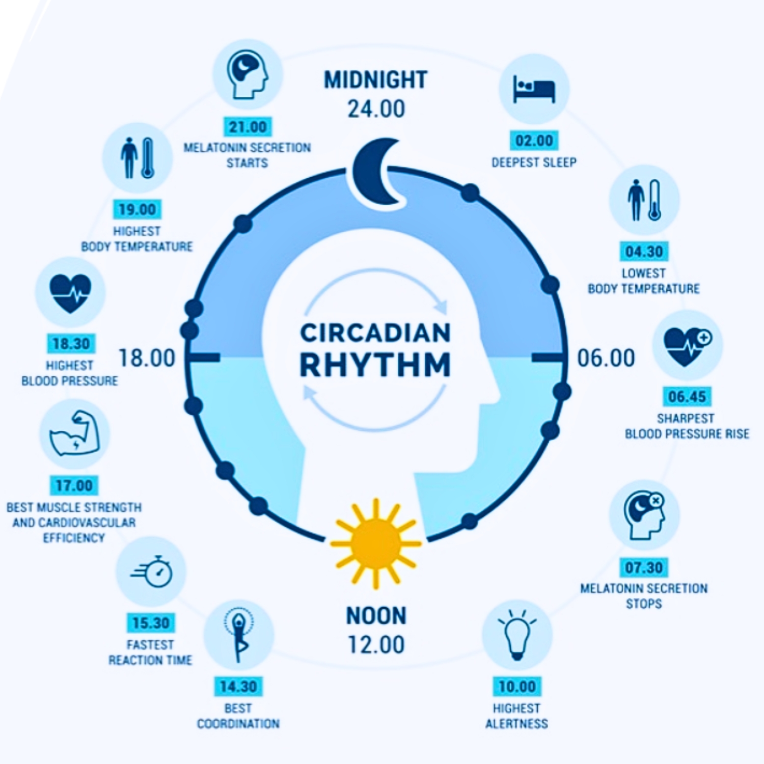 Aging Matters: Circadian rhythm guides our sleep